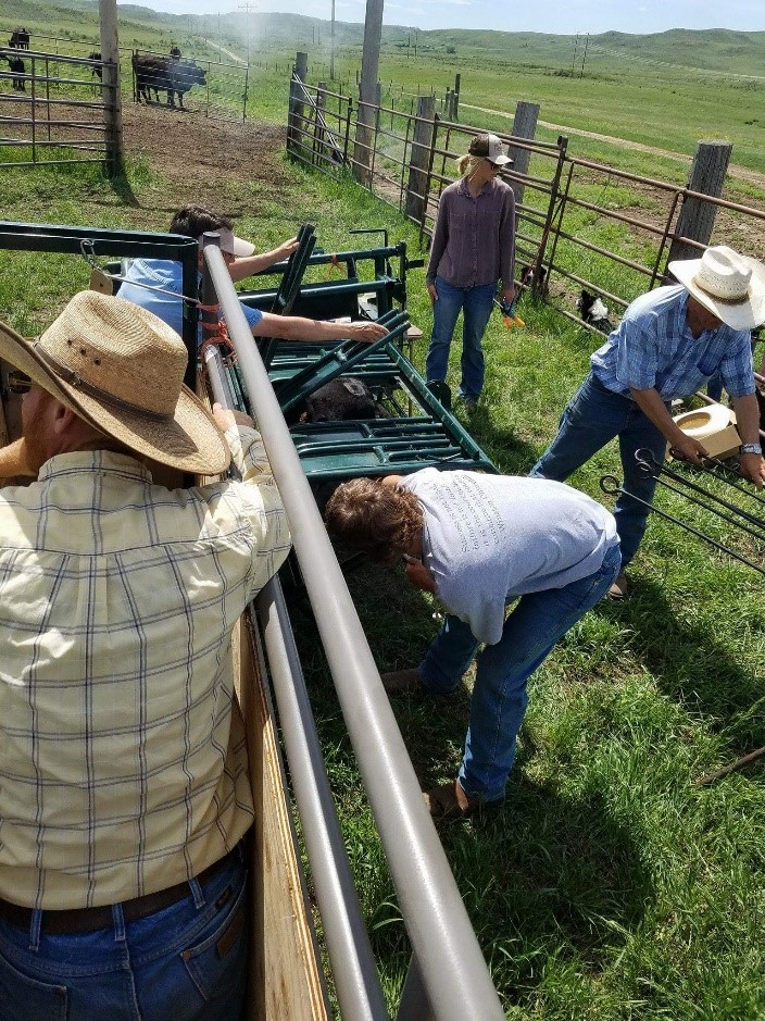 Aidan’s unforgettable week with the Kane’s – RealRanchers.com